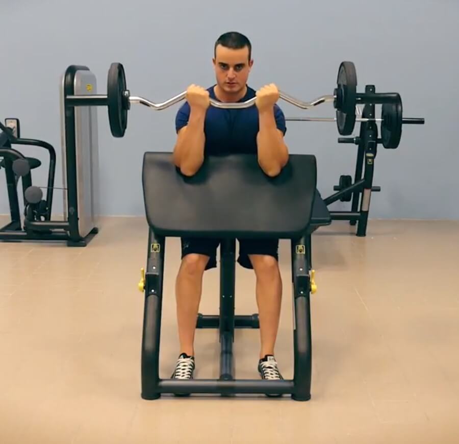 Esercizi Bicipiti: Curl alla Panca Scott • Luca Grisendi Personal ...
