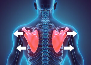 Scapole Addotte e Depresse: Cosa Vuol Dire e Come Fare (Esecuzione ...
