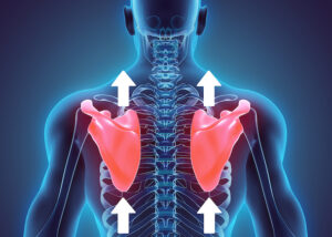 Scapole Addotte e Depresse: Cosa Vuol Dire e Come Fare (Esecuzione ...